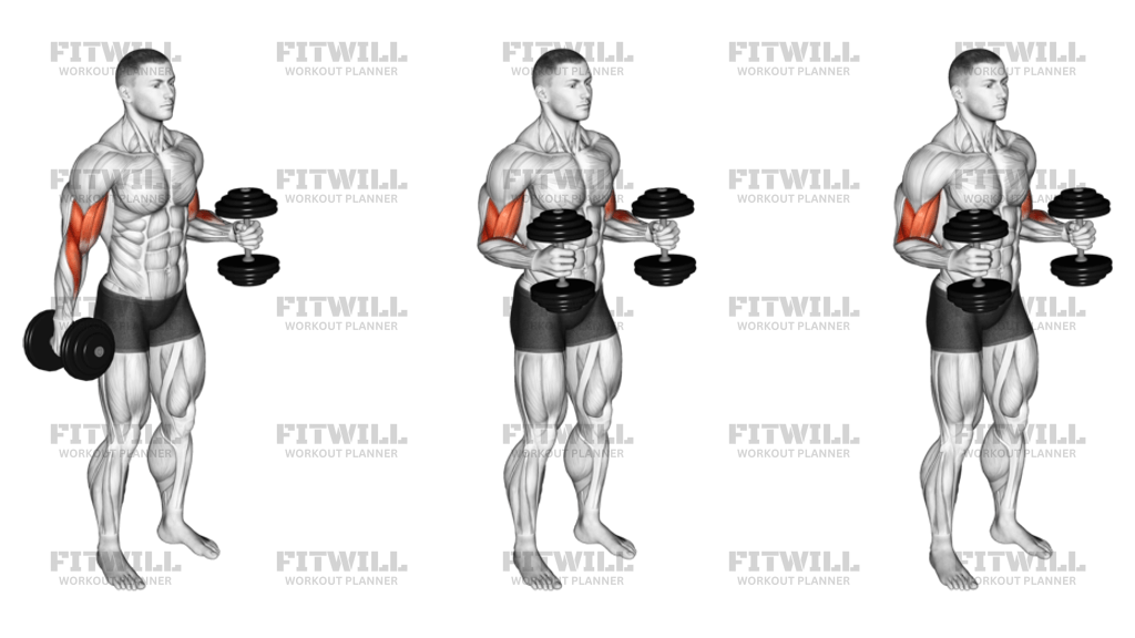 Dumbbell Bent Arm Iso Hold: Exercise Guide, Techniques, Benefits, How ...
