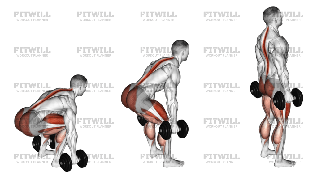 Levantamento Terra Com Halteres (pegada Neutra): Guia de Exercícios ...