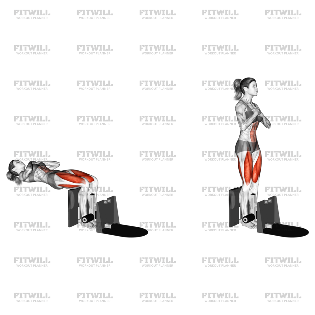 Reverse Leg Extension: Exercise Guide, Techniques, Benefits, How to ...