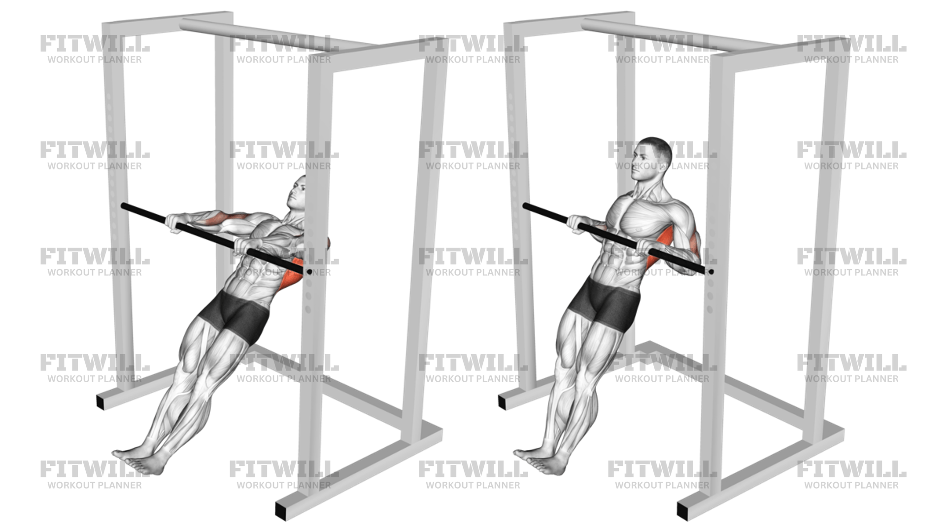 High Bar Inverted Row: Exercise Guide, Techniques, Benefits, How to ...