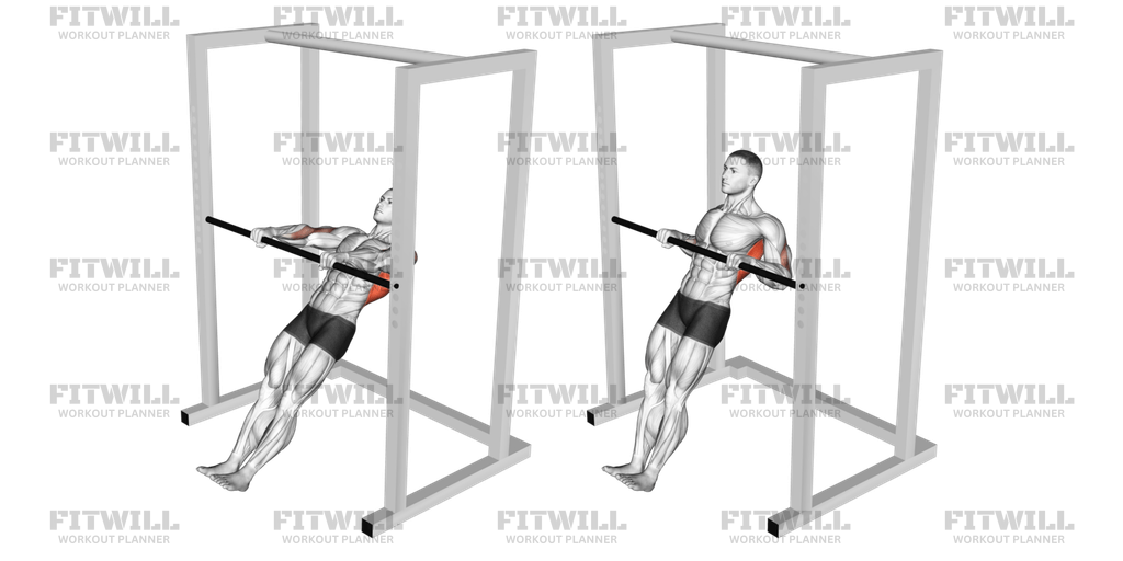 High Bar Inverted Row: Exercise Guide, Techniques, Benefits, How to ...