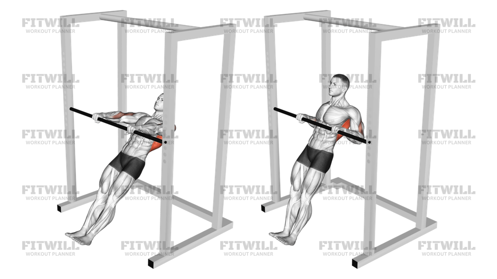 High Bar Inverted Row: Exercise Guide, Techniques, Benefits, How to ...