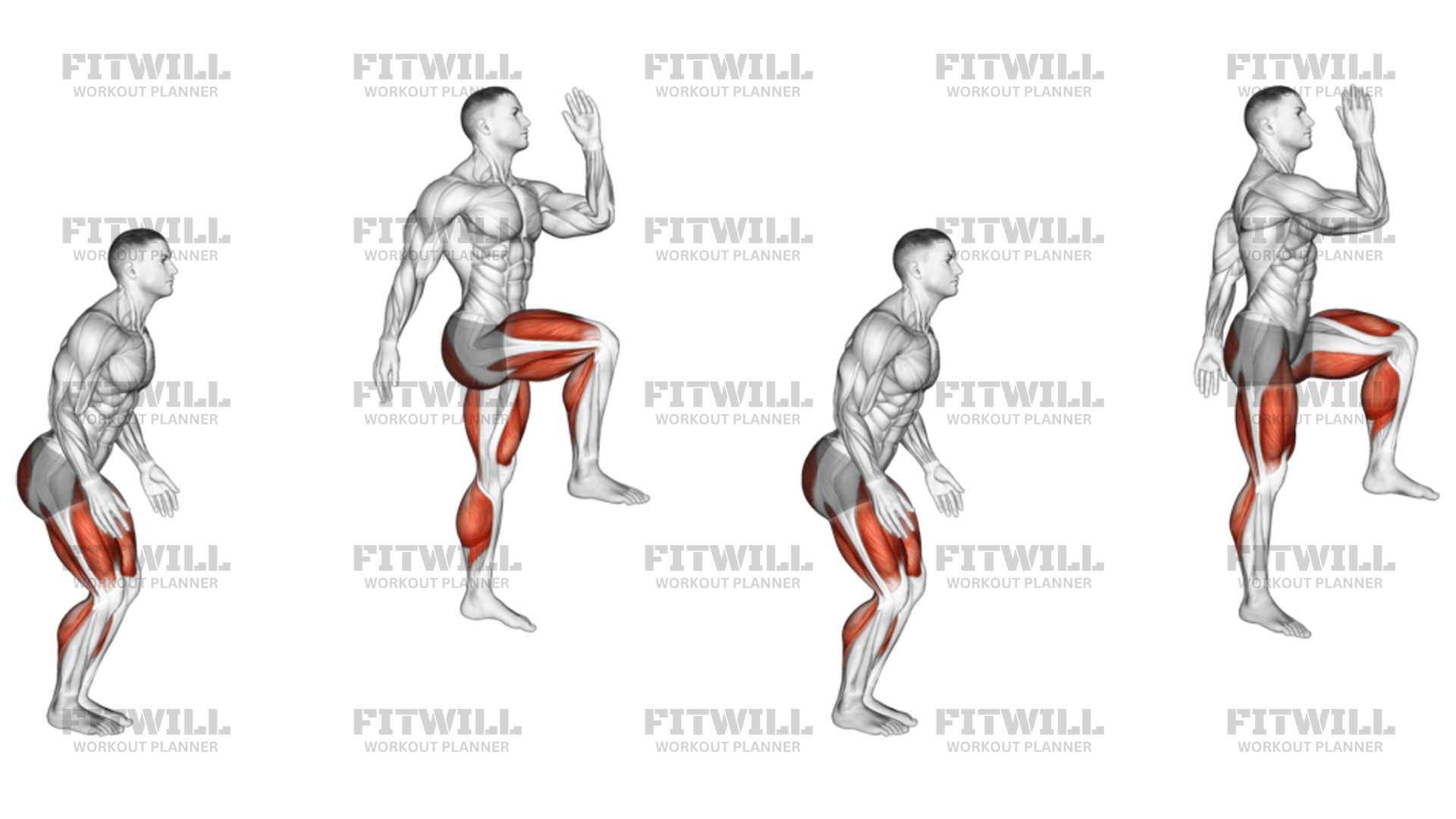 Alternate High Hop: Exercise Guide, Techniques, Benefits, How to ...