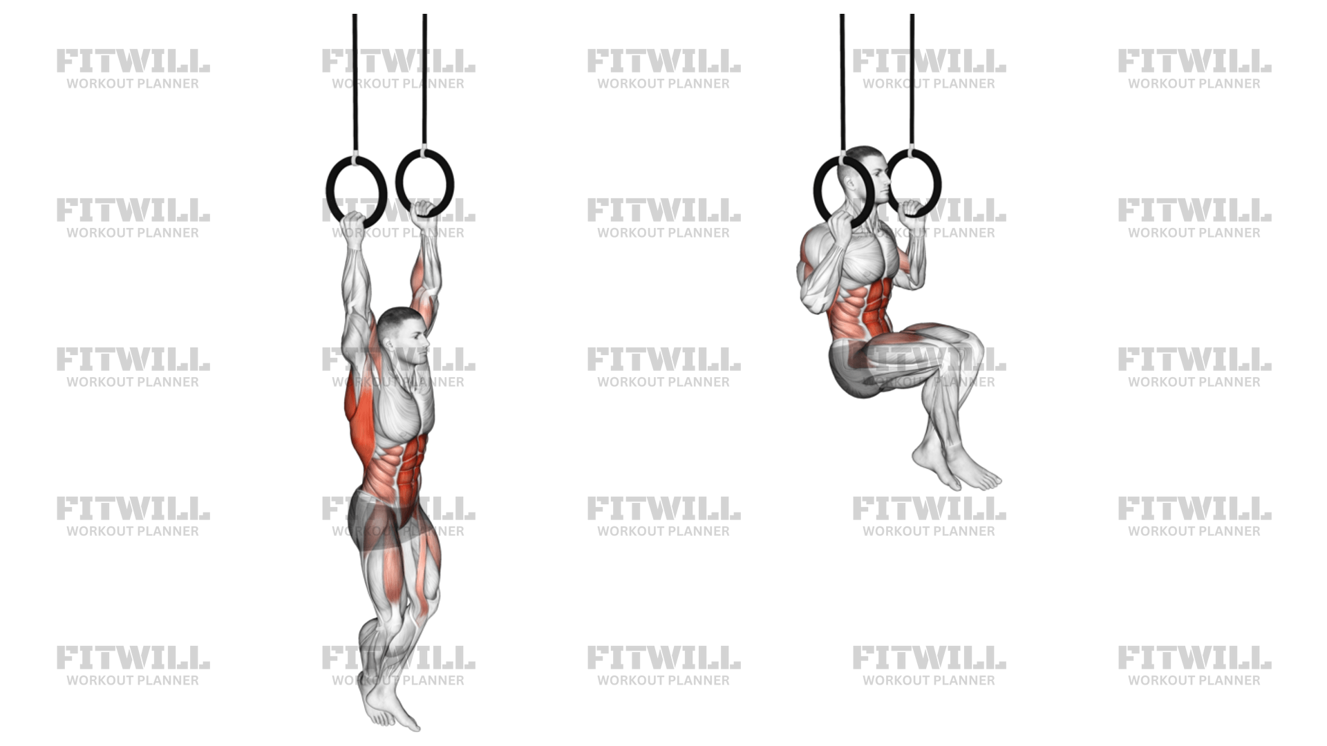 Leg Assisted Ring Pull-up: Exercise Guide, Techniques, Benefits, How to ...