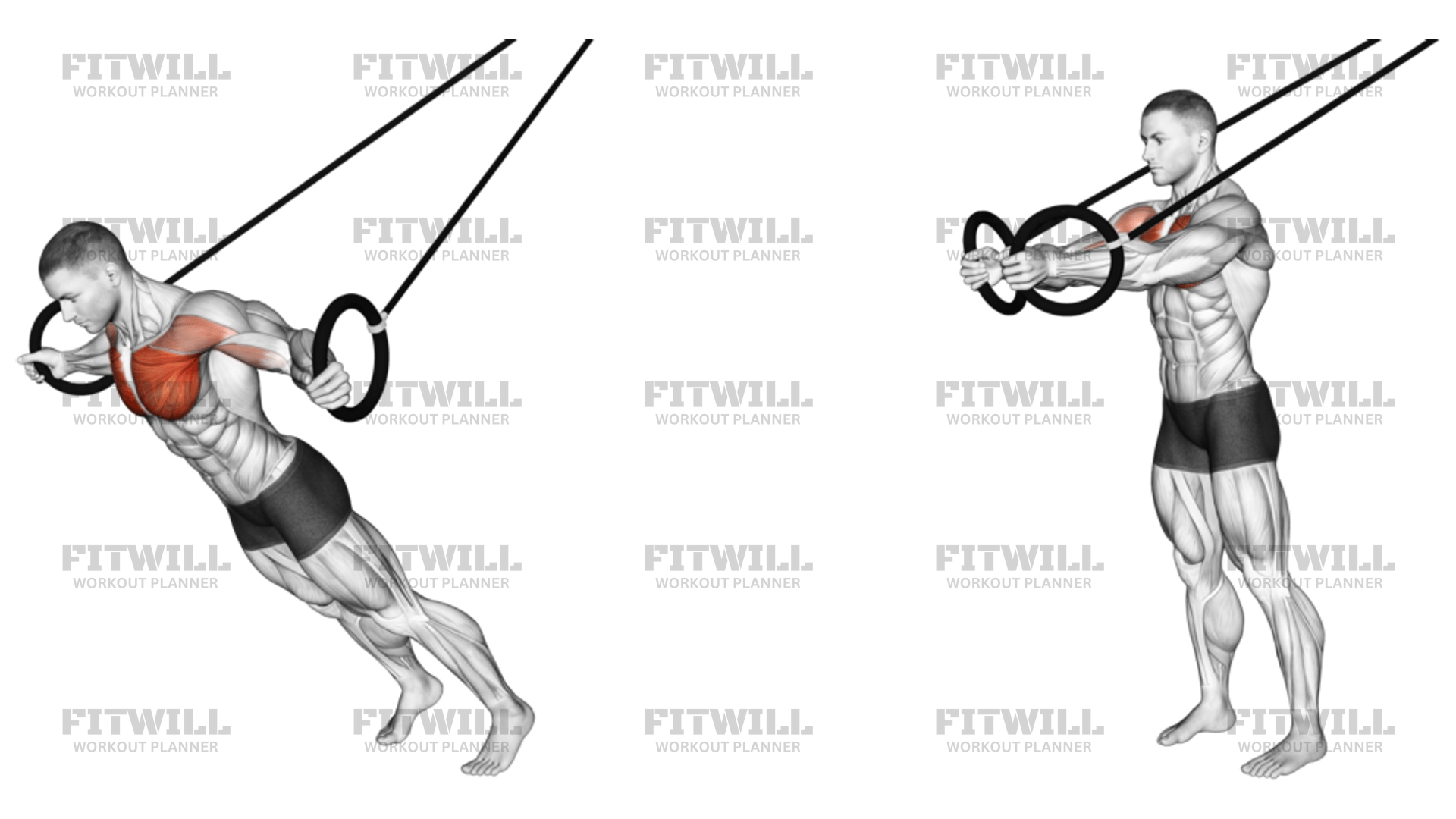 Aperturas En Anillas Para Pecho: Guía de Ejercicios, Video, Técnicas ...