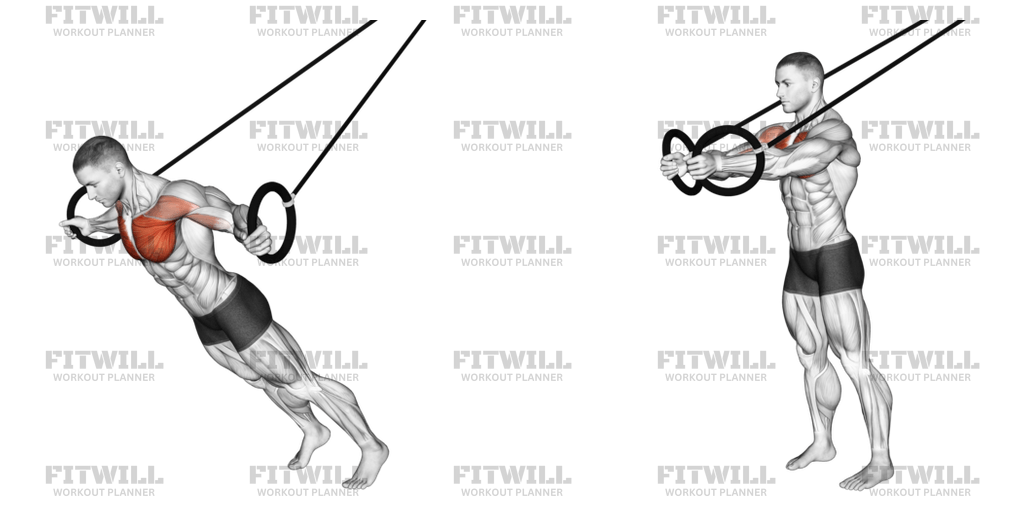 Ring Chest Fly: Exercise Guide, Video, Techniques, Benefits, How to ...