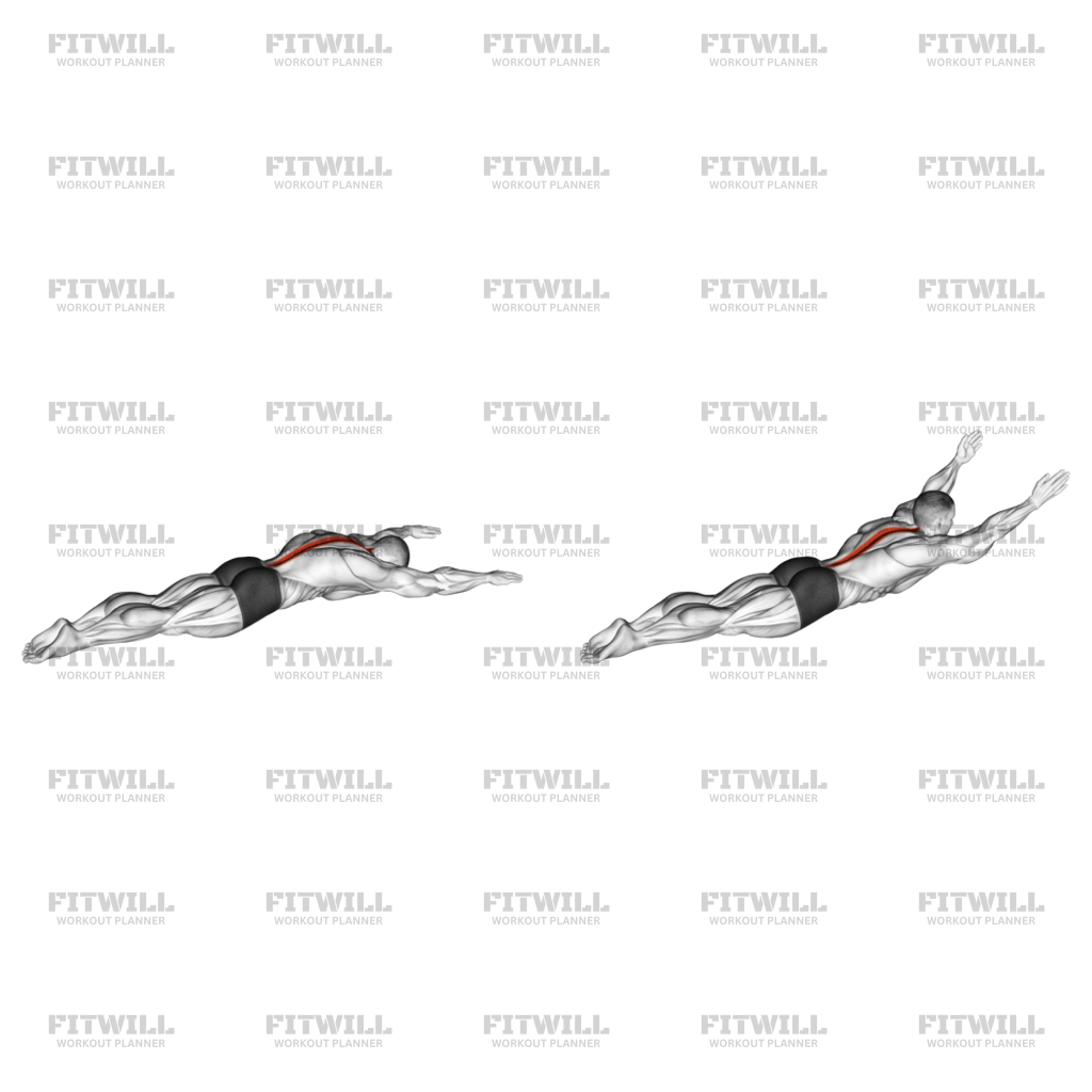 Long Lever Lying Back Extension: Exercise Guide, Techniques, Benefits ...