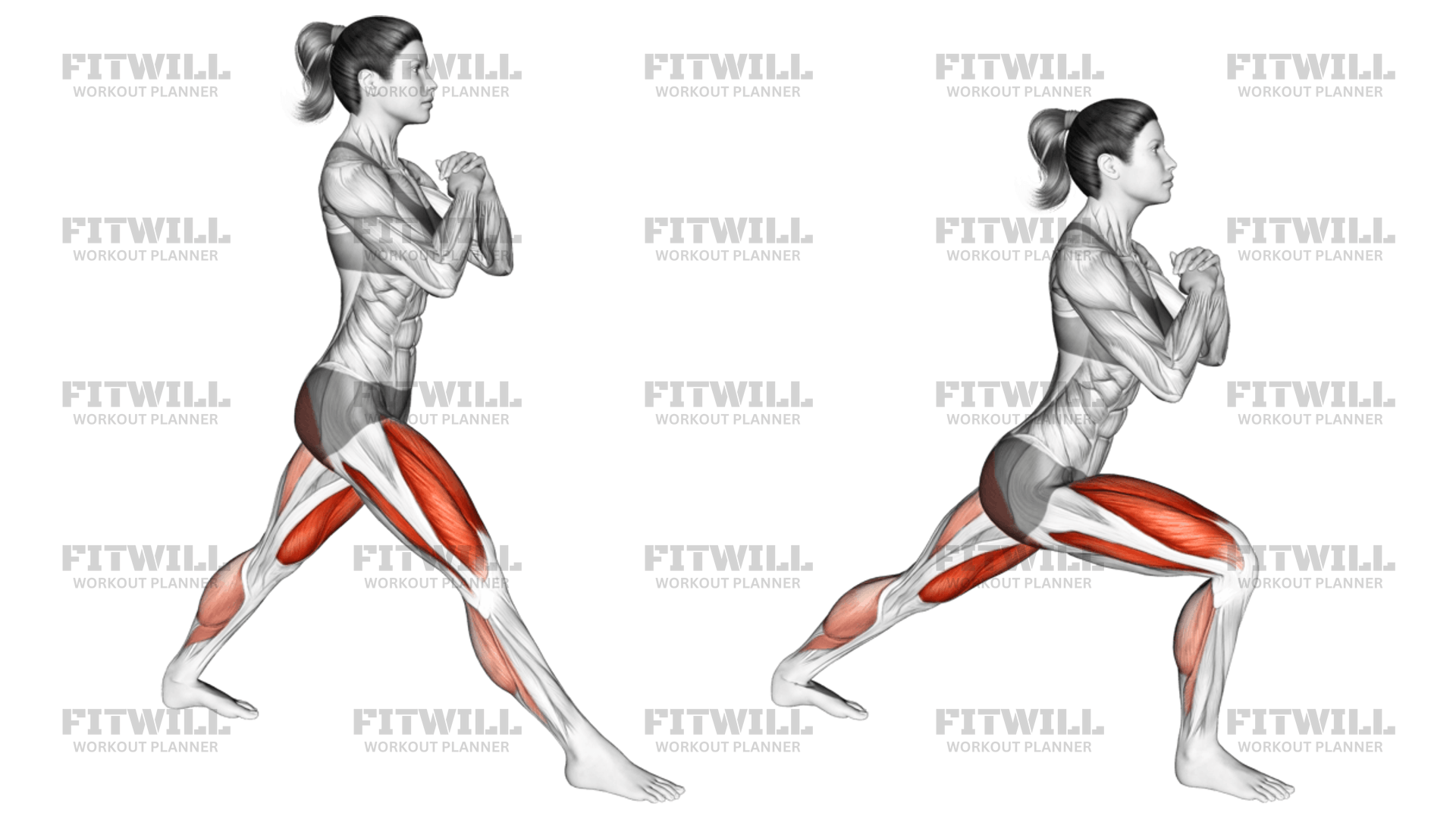 Lunge Stretch: Exercise Guide, Video, Techniques, Benefits, How to ...