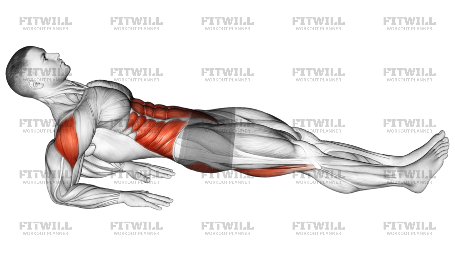 Plancha Invertida (VERSIÓN 2): Guía de Ejercicios, Técnicas, Beneficios ...