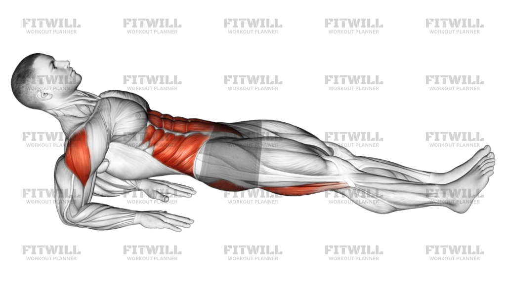 Reverse Plank (VERSION 2): Exercise Guide, Techniques, Benefits, How to ...