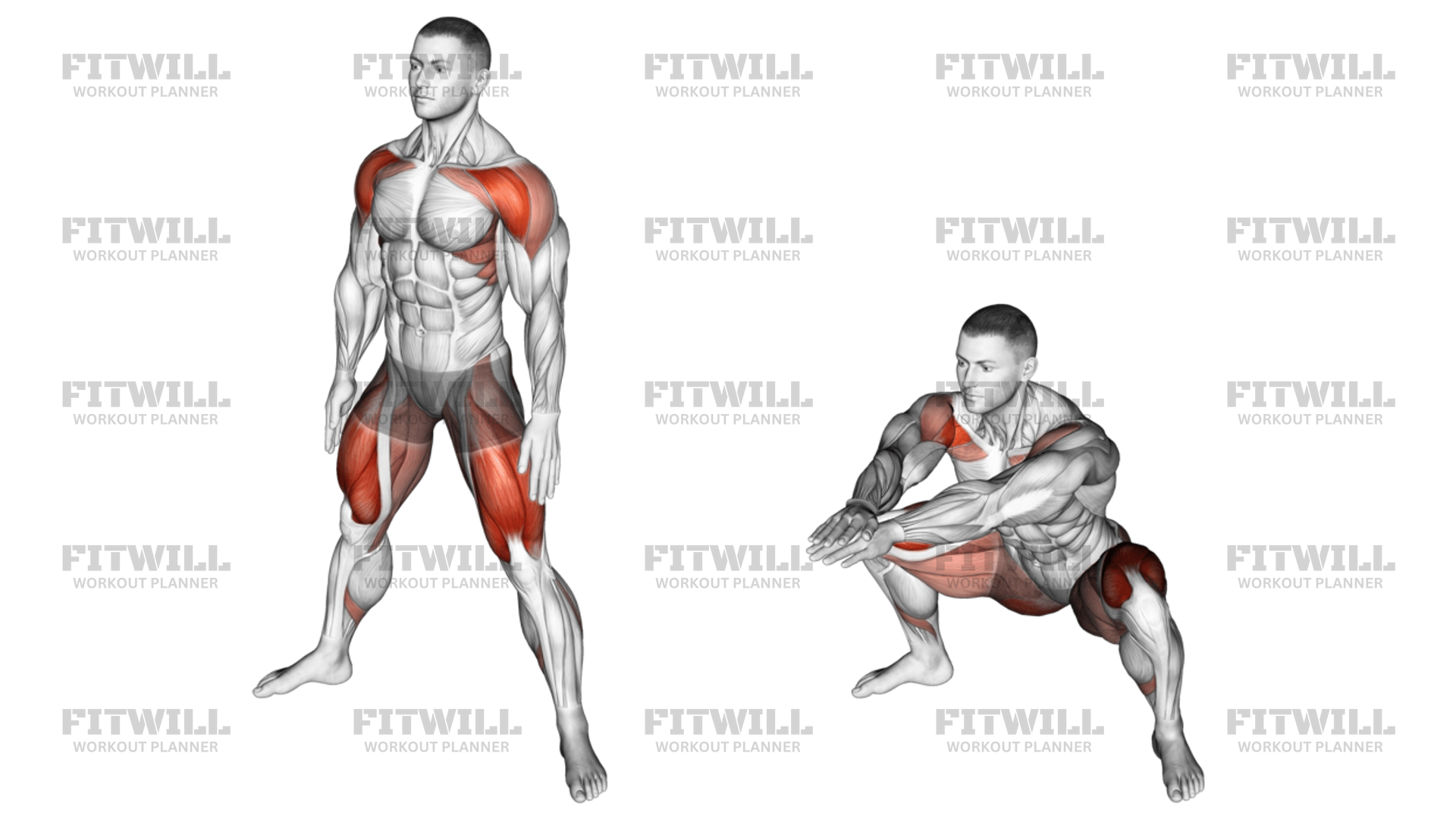 Sumo Air Squat: Exercise Guide, Techniques, Benefits, How to, Muscles ...