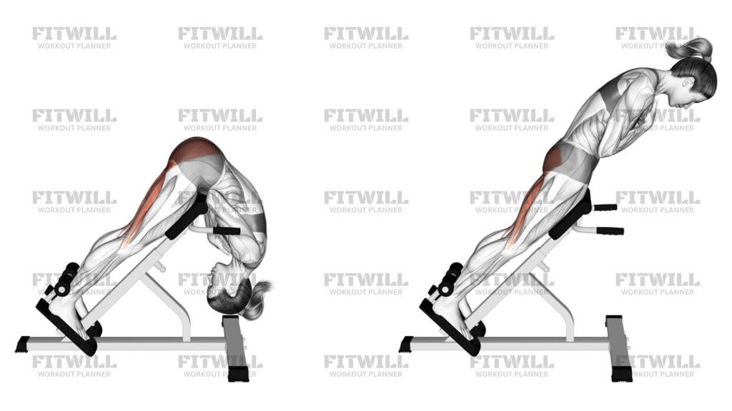 Roman Chair 45 Degree Hip Extension Glute Focused: Exercise Guide ...