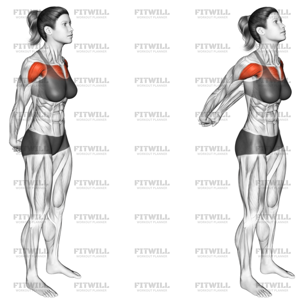 Chest Out Hands Behind (Hold): Exercise Guide, Video, Techniques ...