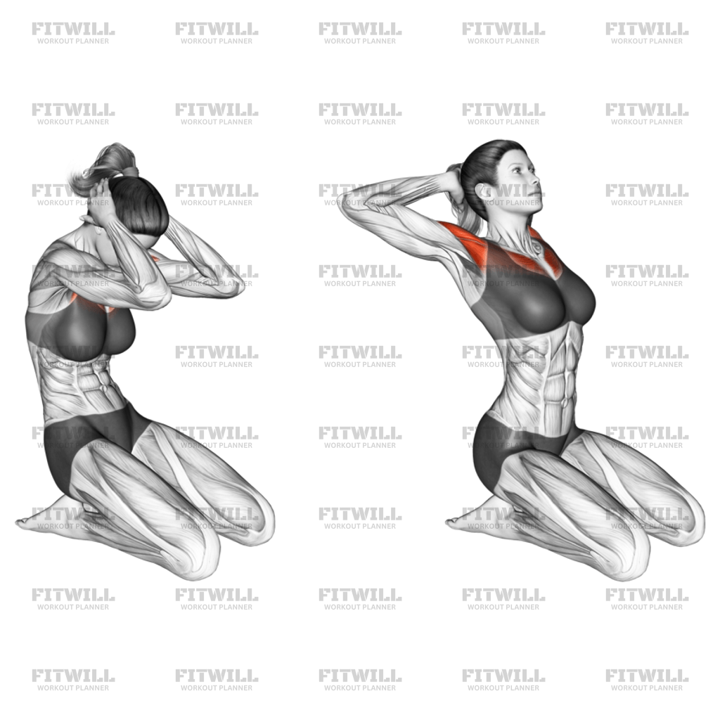 Seated Chest Clam: Exercise Guide, Video, Techniques, Benefits, How to ...