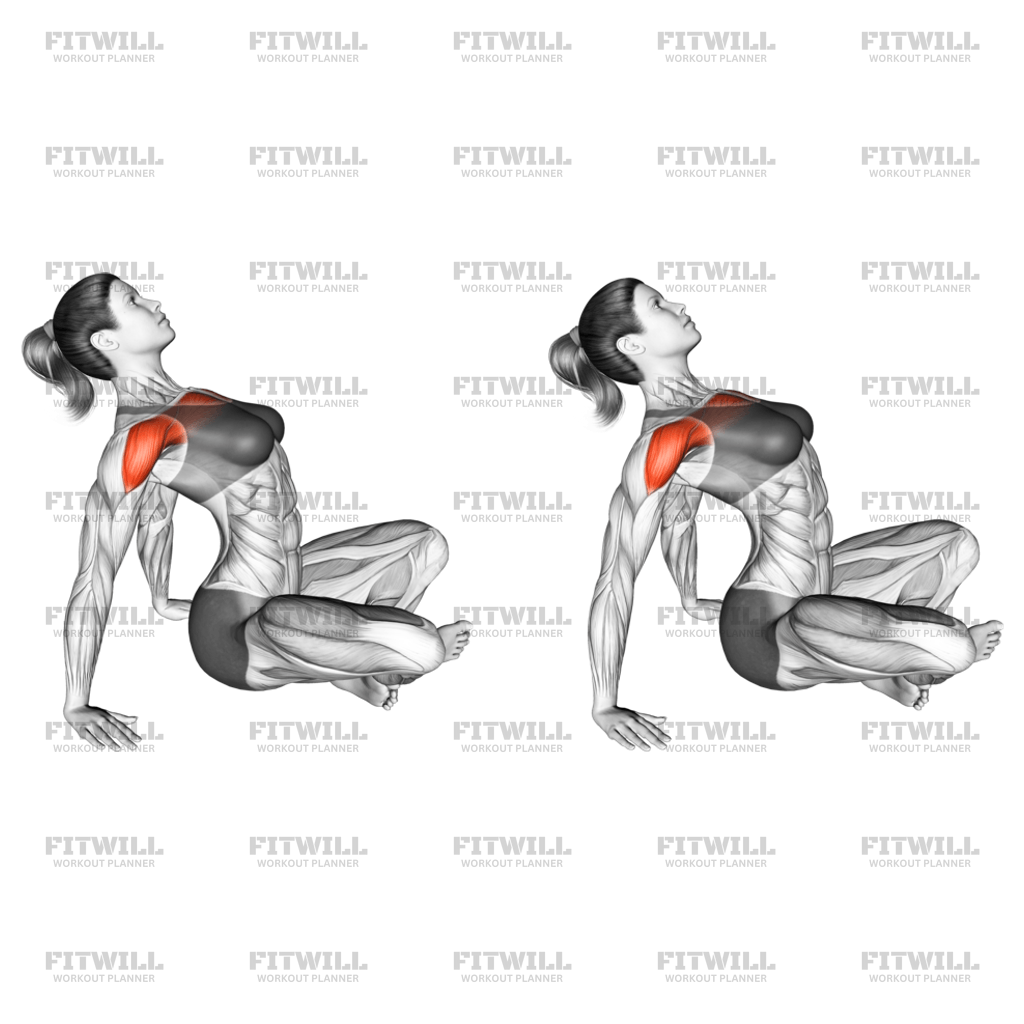 Seated Sky Look: Exercise Guide, Video, Techniques, Benefits, How to ...