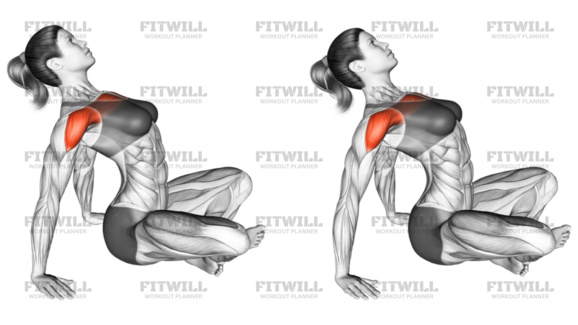 Seated Sky Look: Exercise Guide, Video, Techniques, Benefits, How to ...