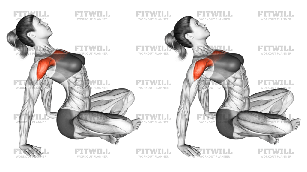 Seated Sky Look: Exercise Guide, Video, Techniques, Benefits, How to ...