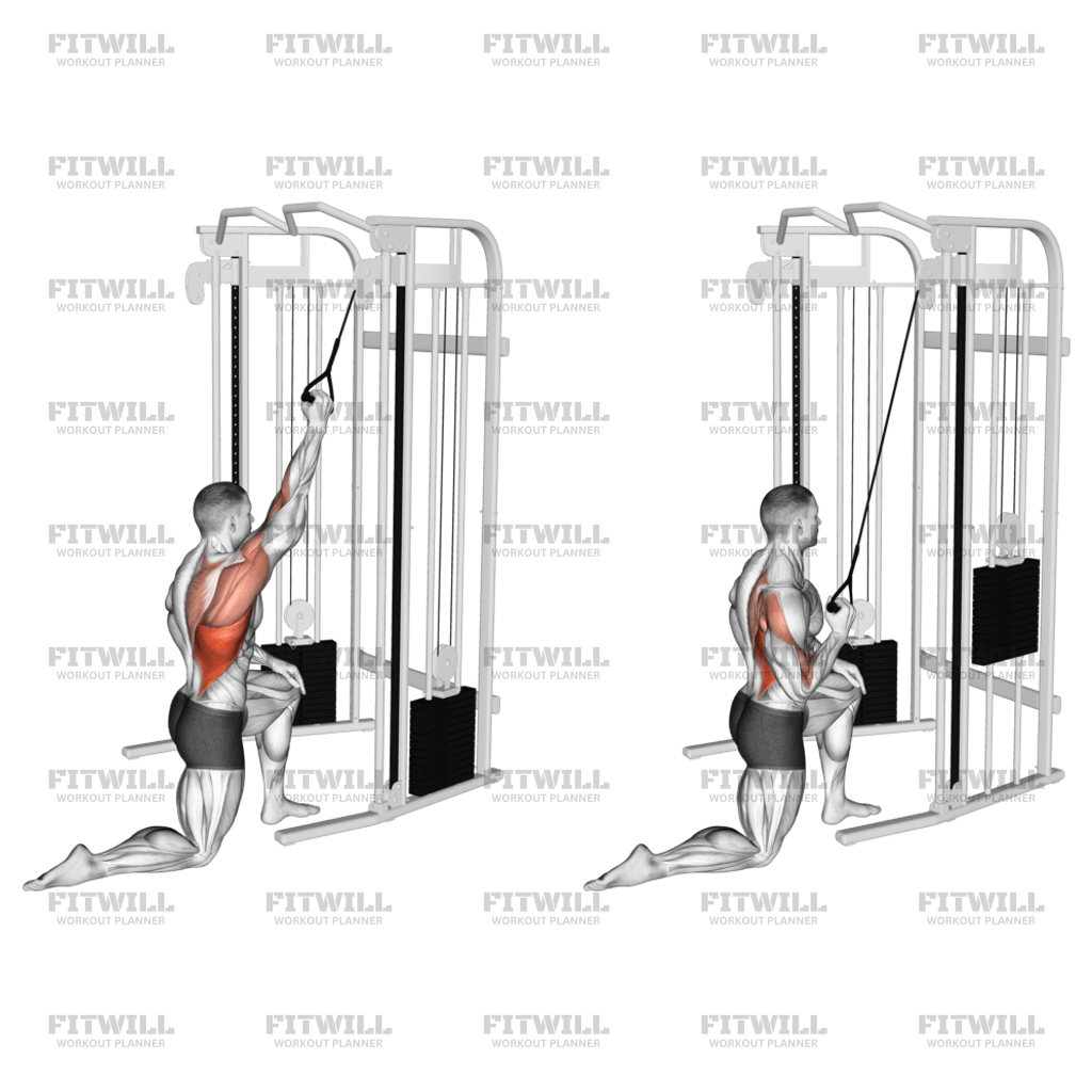 Cable Kneeling One Arm Lat Pulldown: Exercise Guide, Video, Techniques ...