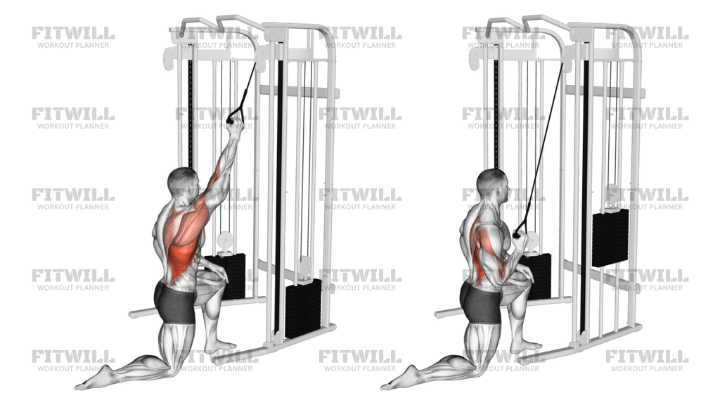 Cable Kneeling One Arm Lat Pulldown: Exercise Guide, Video, Techniques ...