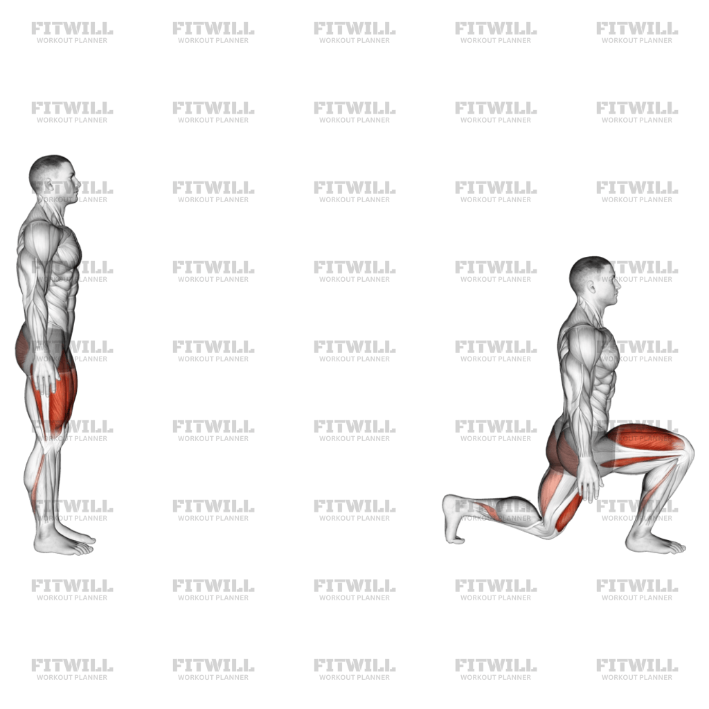 Bodyweight Forward Lunge (Smaller Stance Upright Torso): Guide ...