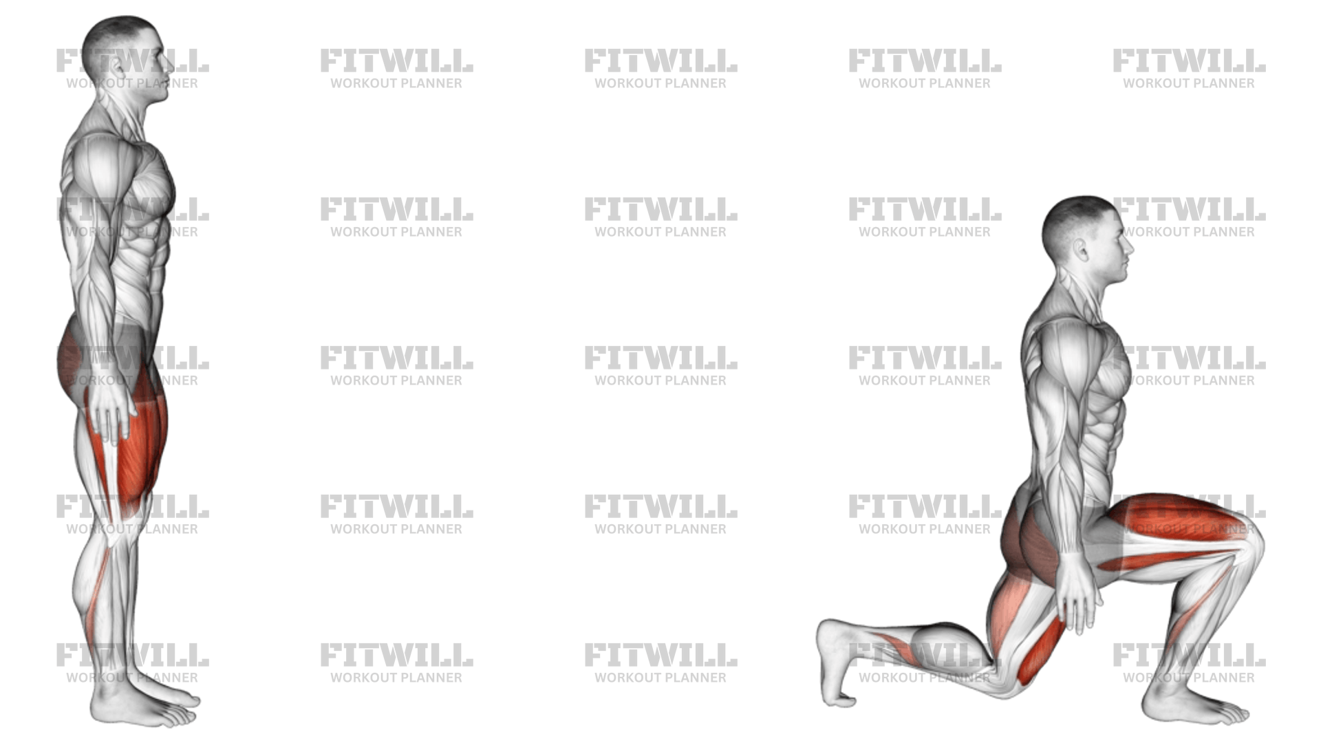 Bodyweight Forward Lunge (Smaller Stance Upright Torso): Exercise Guide ...