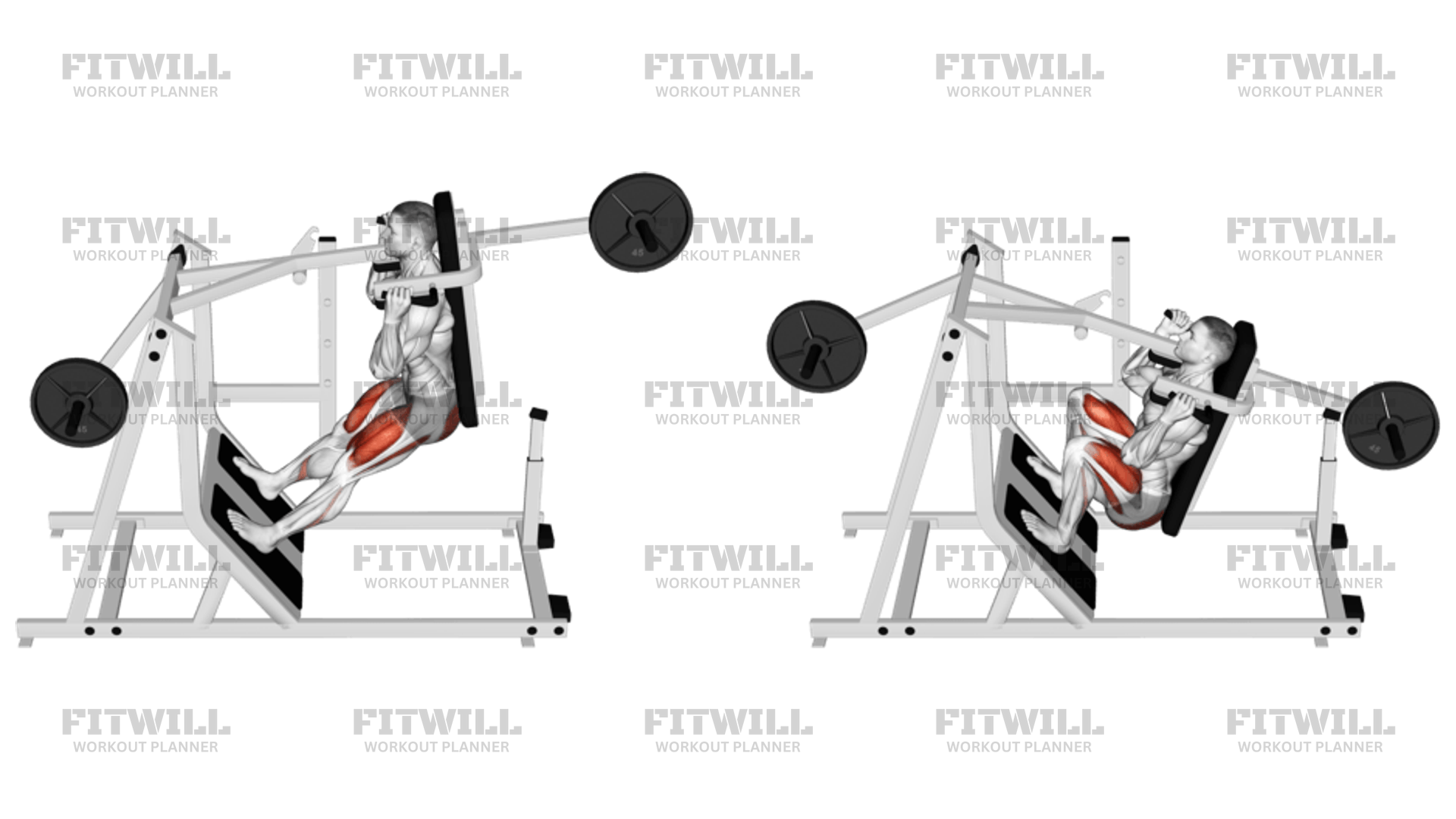 Sentadilla Péndulo Con Palanca (cargada Con Disco): Guía de Ejercicios ...