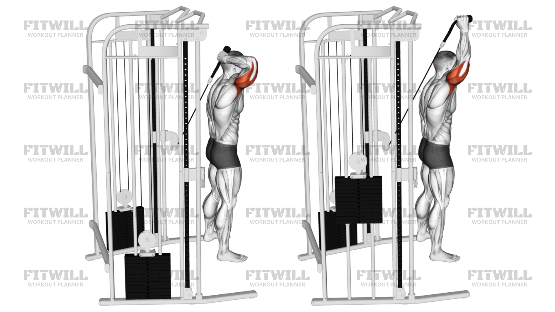 Cable Overhead Single Arm Triceps Extension (rope Attachment): Exercise ...