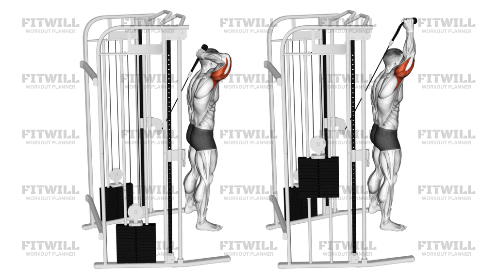 Cable Overhead Single Arm Triceps Extension (rope Attachment): Exercise ... Cable Overhead Single Arm Triceps Extension (rope Attachment): Exercise ...