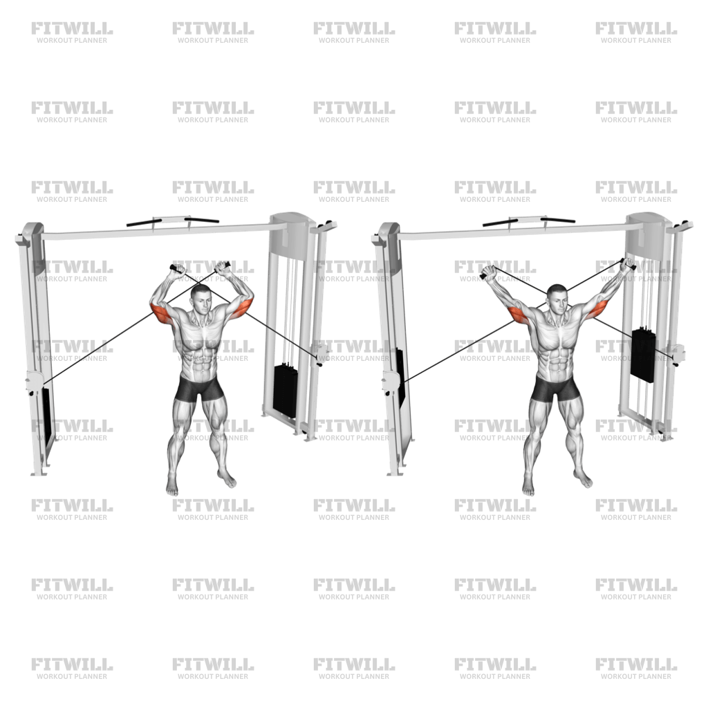 Extensión De Tríceps En Polea Alta: Guía de Ejercicios, Video, Técnicas ...