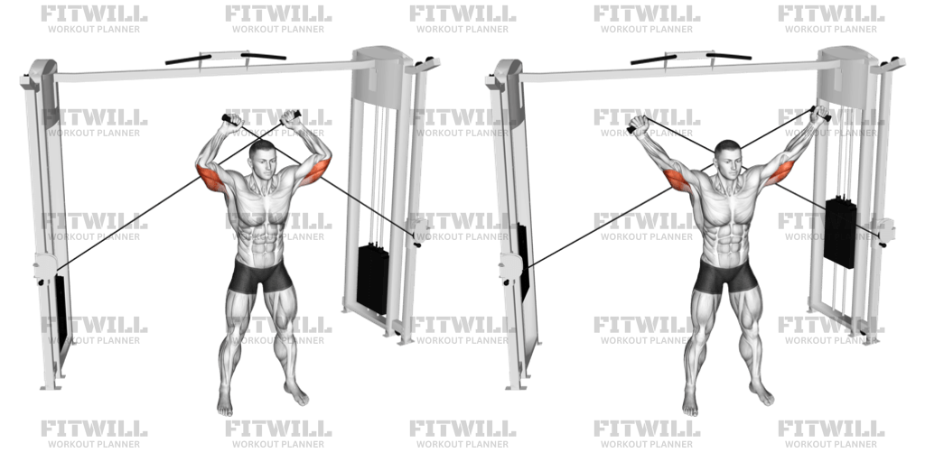 Cable High Triceps Extension: Exercise Guide, Video, Techniques ...