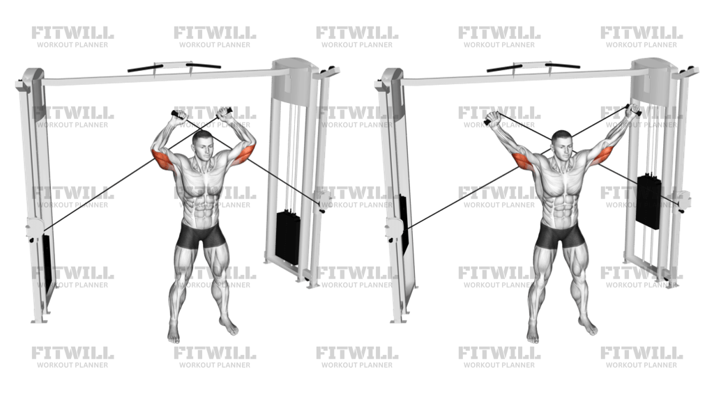 How to do Cable High Triceps Extension: Techniques, Benefits, Tips ...