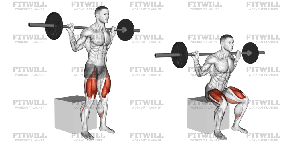 Barbell Box Squat: Exercise Guide, Video, Techniques, Benefits, How to ...