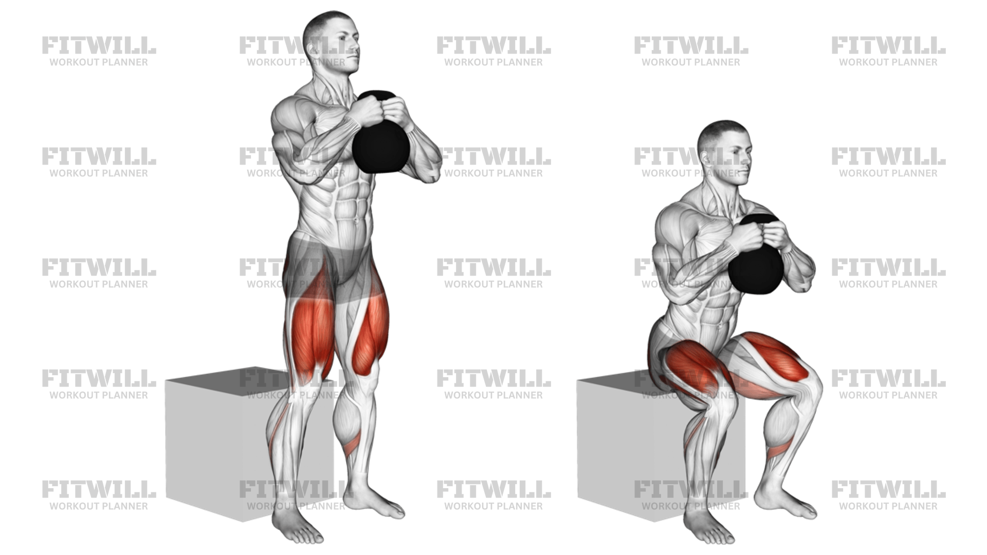 Kettlebell Box Squat: Exercise Guide, Video, Techniques, Benefits, How ...