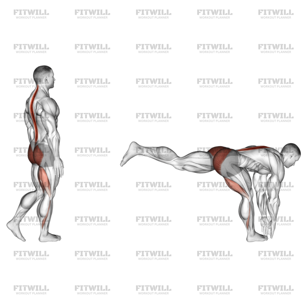 Bodyweight Single Leg RDL: Exercise Guide, Video, Techniques, Benefits ...