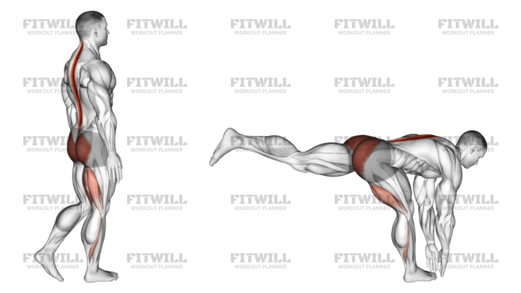 Bodyweight Single Leg RDL: Exercise Guide, Video, Techniques, Benefits ...