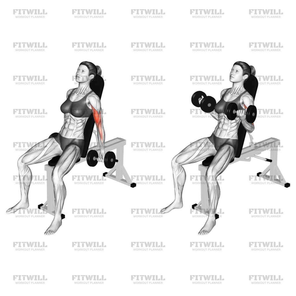 Dumbbell Incline Biceps Curl (70 Degrees): Exercise Guide, Techniques ...