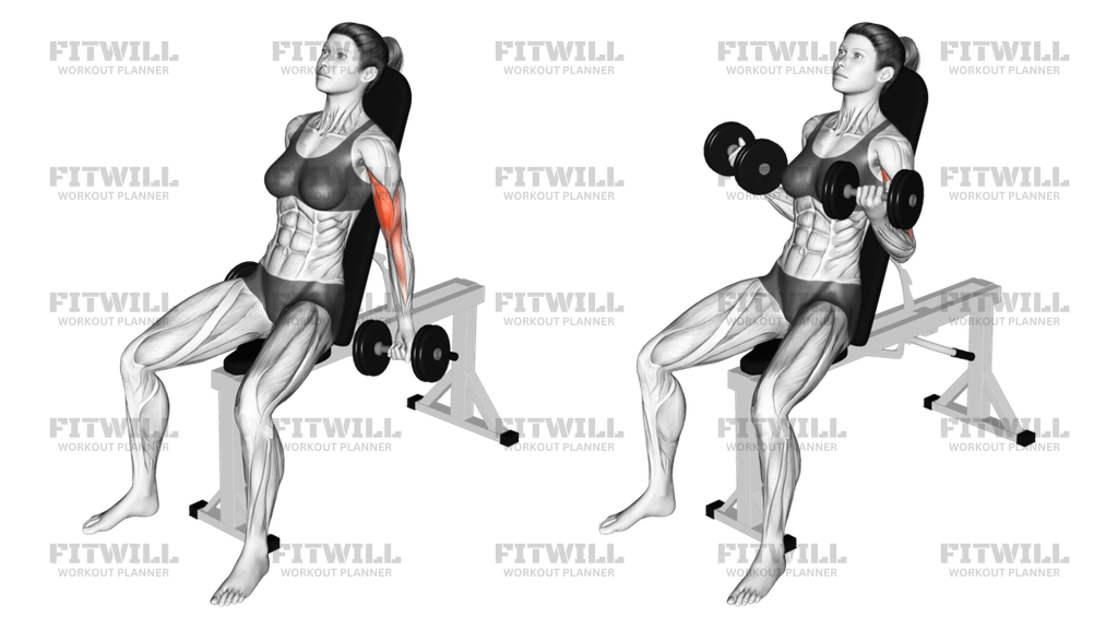 Rosca Direta Com Halteres No Banco Inclinado (70 Graus): Guia de ...