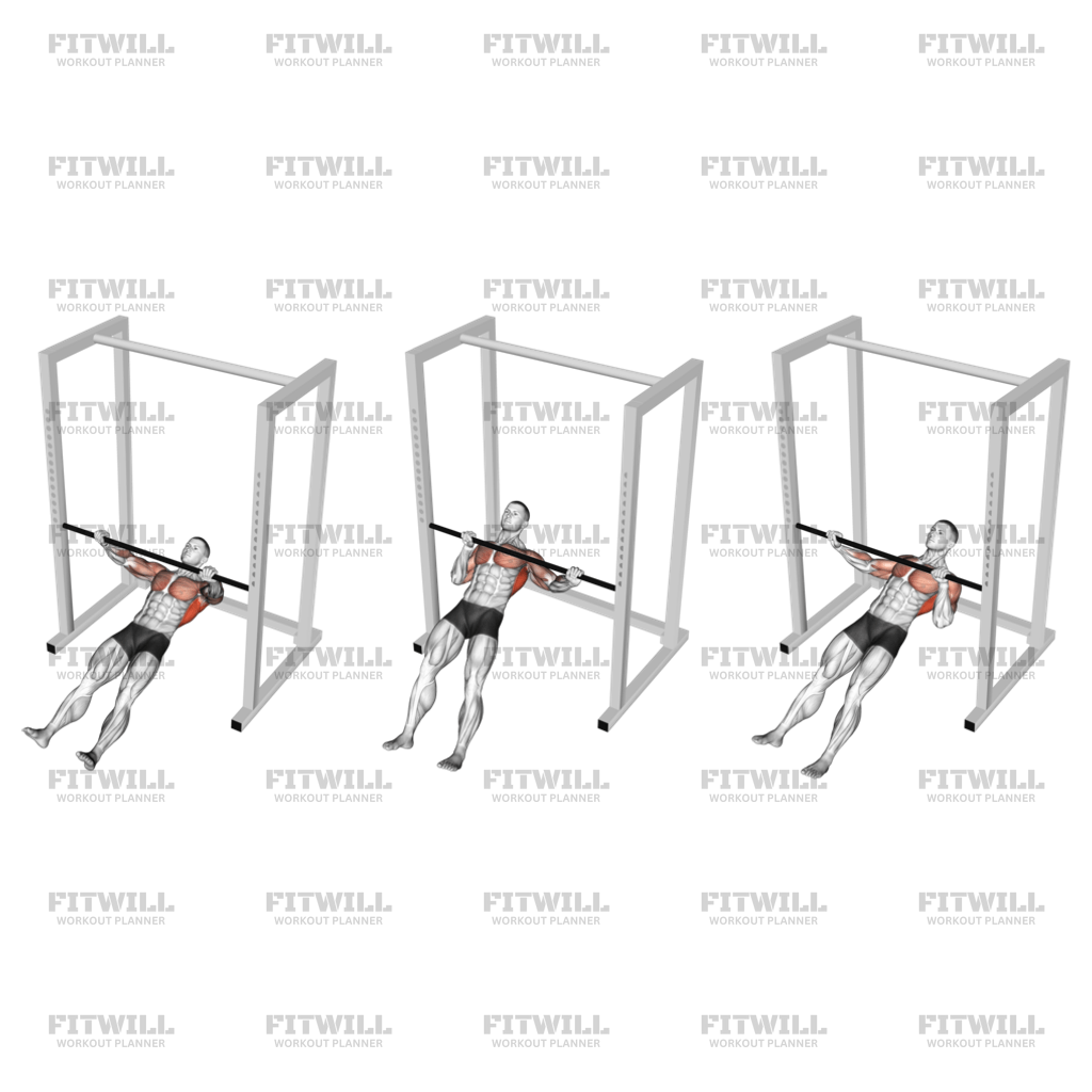 Inverted Row Slide On Floor: Exercise Guide, Techniques, Benefits, How ...