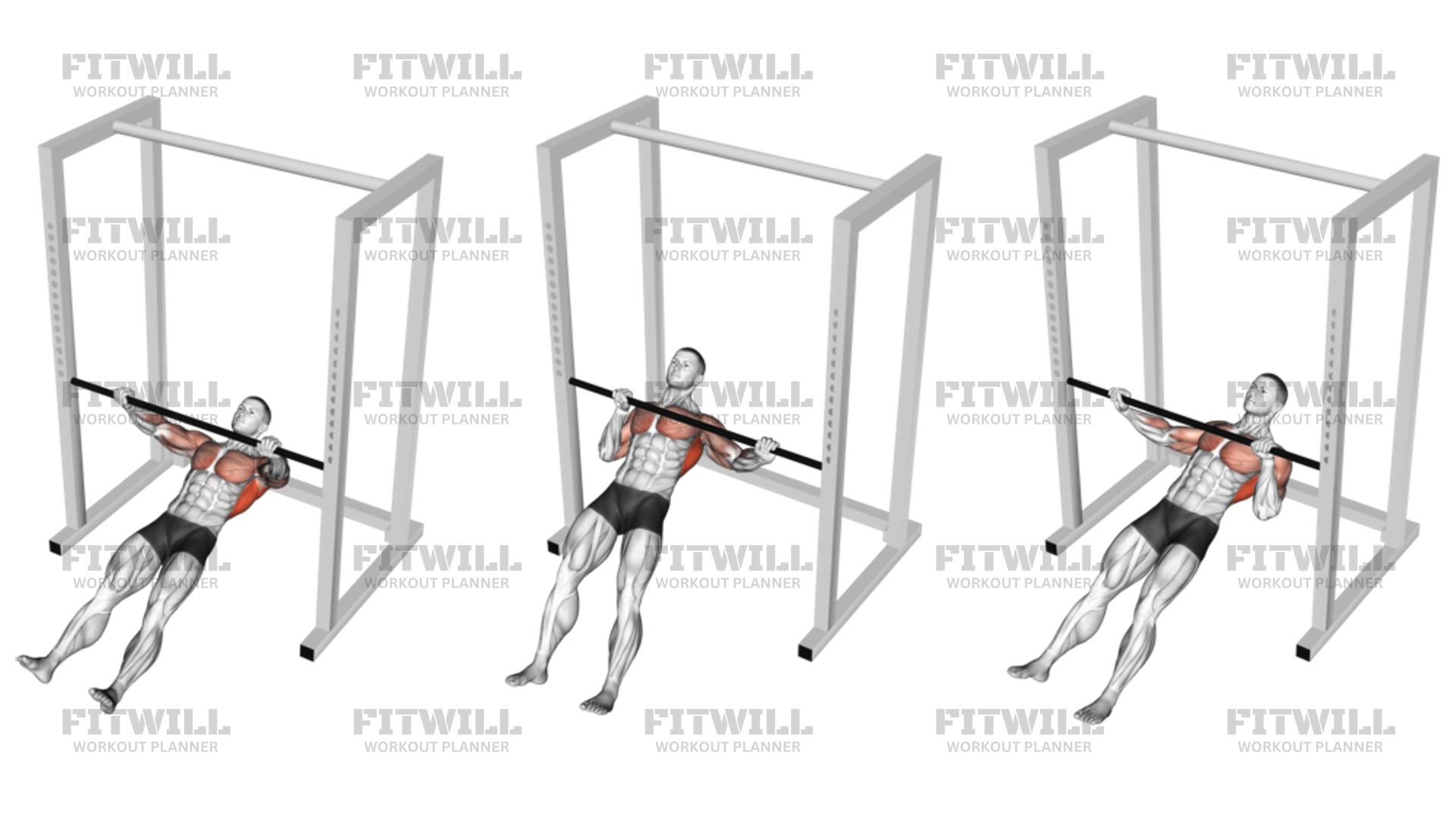 Inverted Row Slide On Floor: Exercise Guide, Techniques, Benefits, How ...
