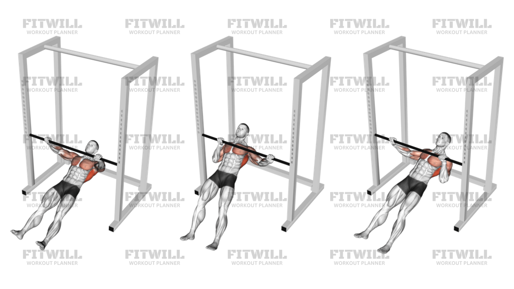 Inverted Row Slide On Floor: Exercise Guide, Techniques, Benefits, How ...