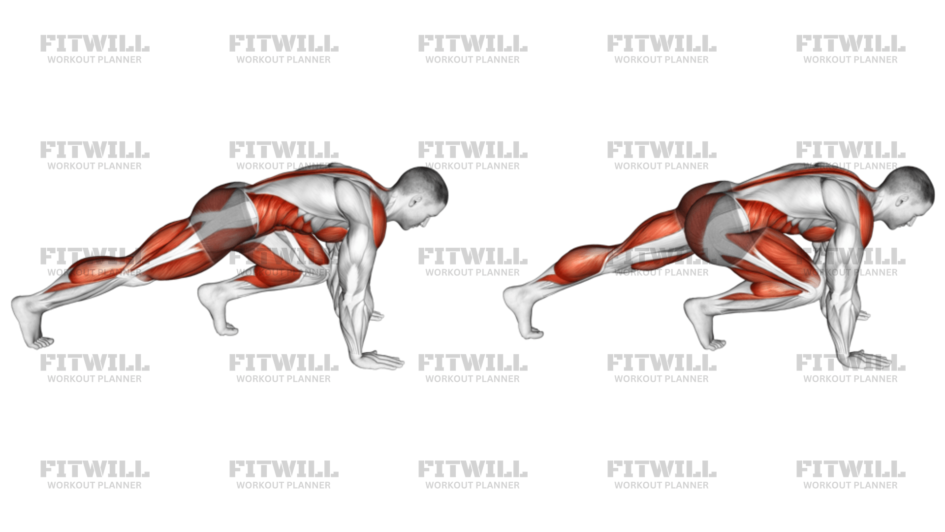 Mountain Climber Jump: Exercise Guide, Techniques, Benefits, How to ...