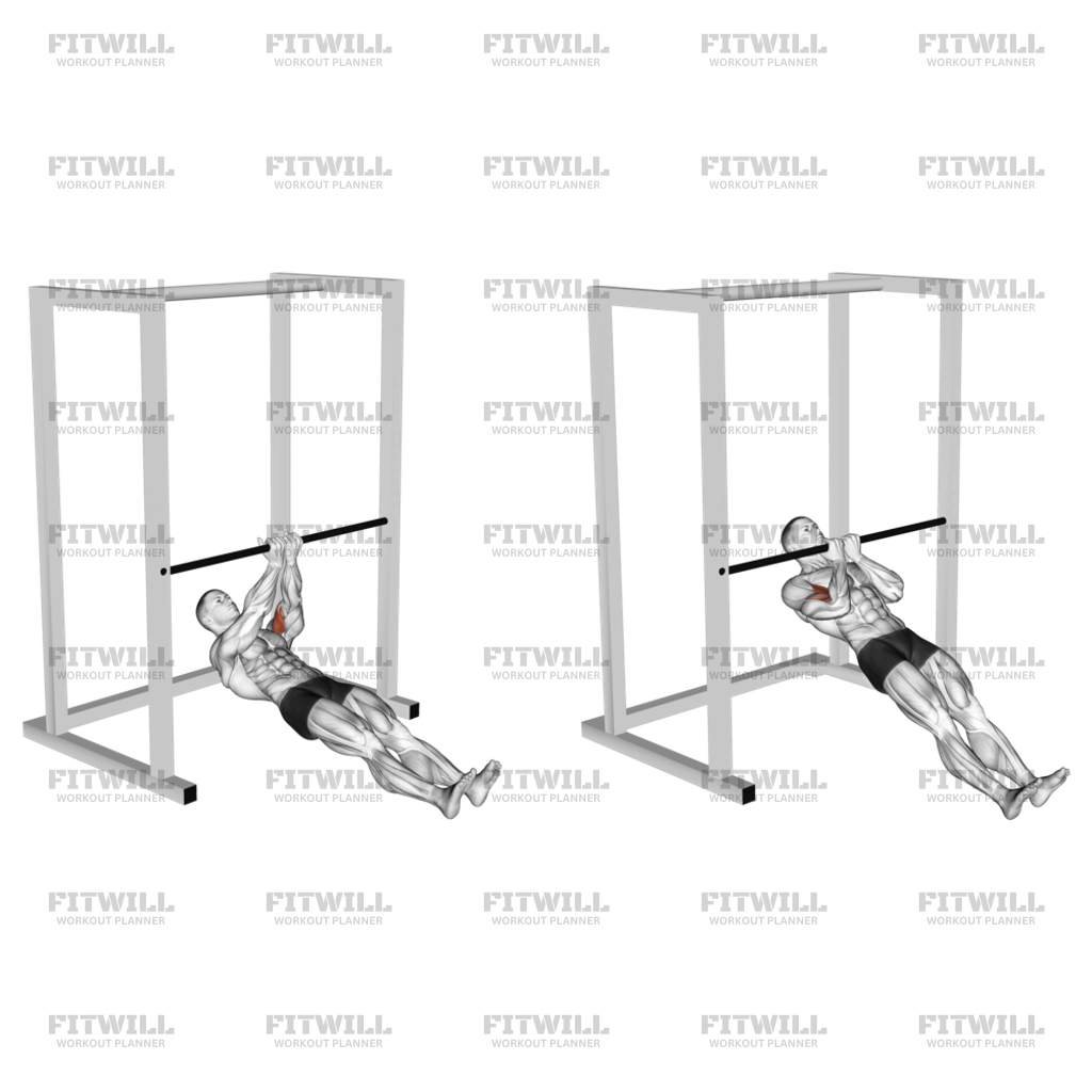 Bar Close Grip Biceps Curl: Exercise Guide, Techniques, Benefits, How ...