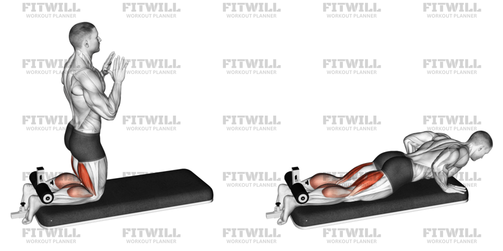 Inverse Leg Curl With Bench Pads: Exercise Guide, Video, Techniques ...