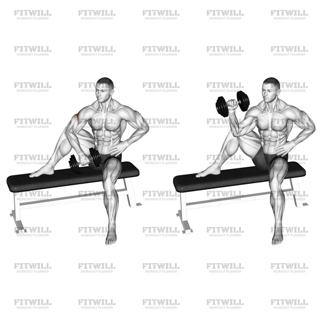 Dumbbell Seated External Shoulder Rotation: Exercise Guide, Techniques ...