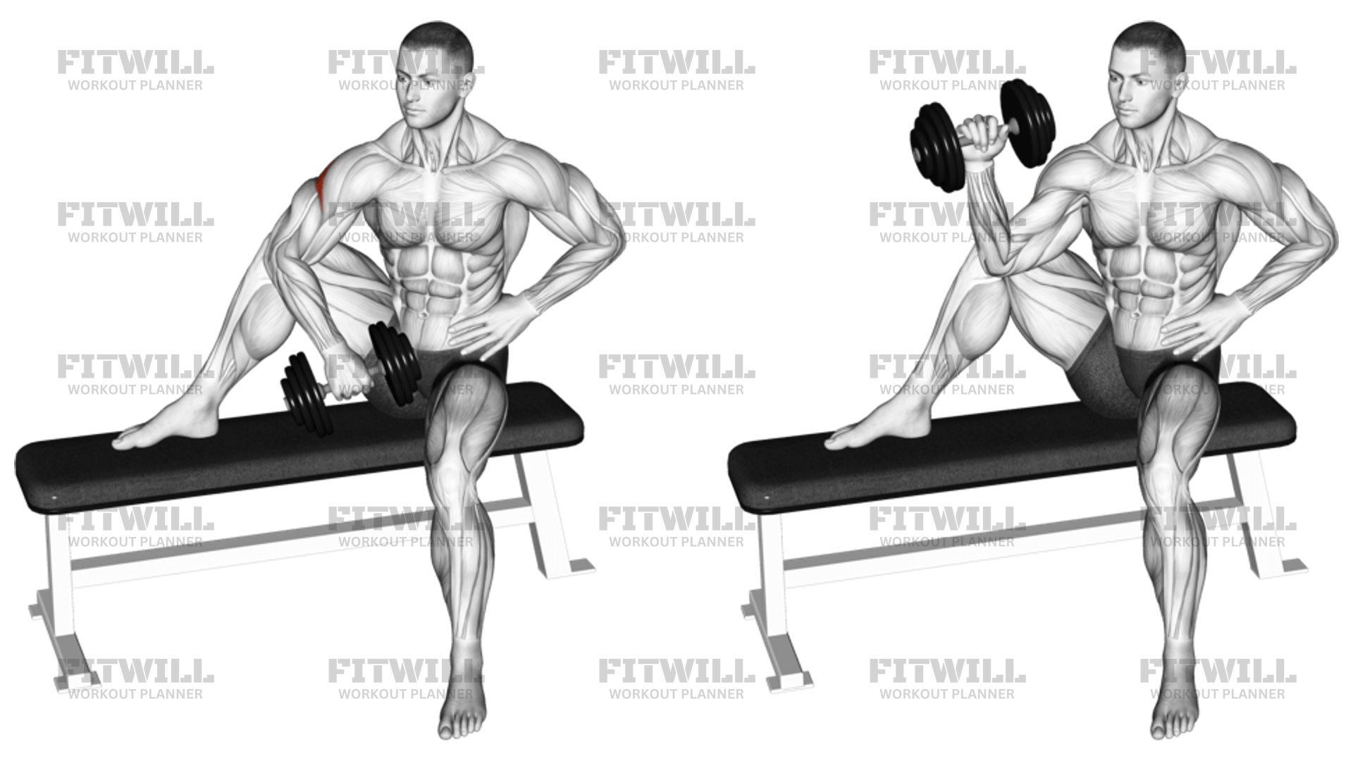 Dumbbell Seated External Shoulder Rotation: Exercise Guide, Techniques ...