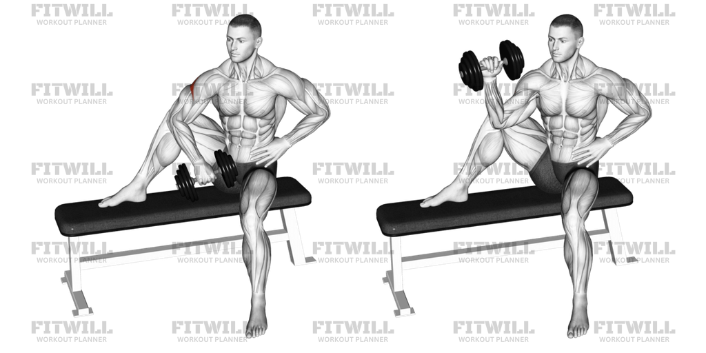 Dumbbell Seated External Shoulder Rotation Exercise Guide Techniques Benefits How To