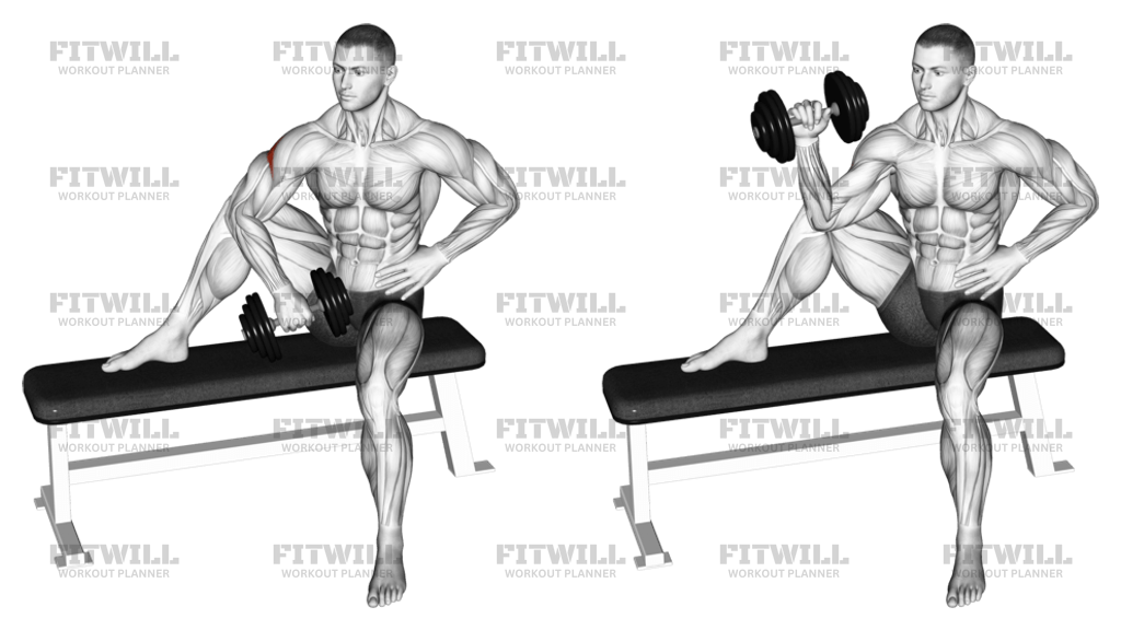 Dumbbell Seated External Shoulder Rotation: Exercise Guide, Techniques ...