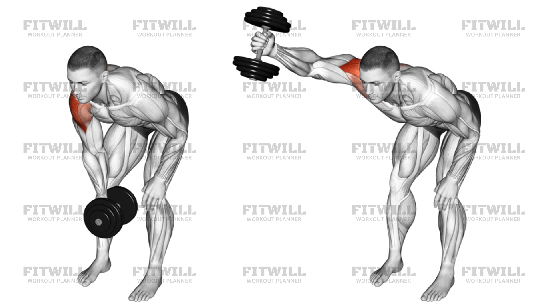 Dumbbell One Arm Y Elevation: Exercise Guide, Techniques, Benefits, How ...