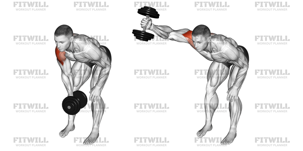 Dumbbell One-Arm Y Elevation: Exercise Guide, Techniques, Benefits, How ...