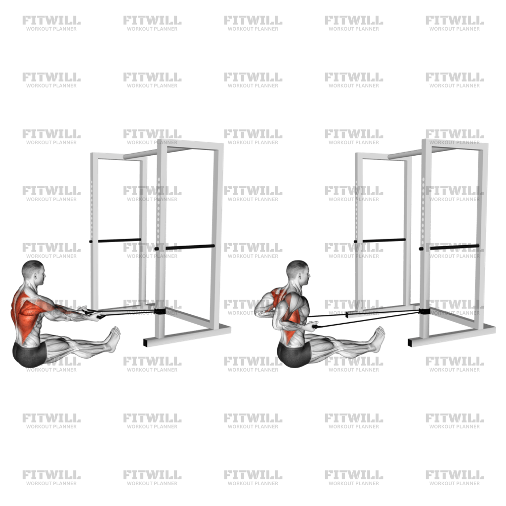 Band Seated Underhand Grip Row: Exercise Guide, Techniques, Benefits ...